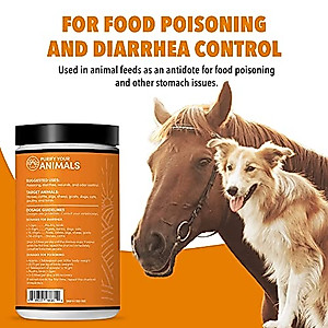 VetDtox 1qt Activated Charcoal Powder for All Kinds of Pets & Livestock, Dog, Cat, Chicken, Horses and More - for Diarrhea, Gas Relief, Liver Support