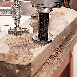 ARBORTECH Mini Turbo Kit | Ø 50 mm Tungsten Freehand Power Carving Attachment for Angle Grinder | MIN.FG.510.20