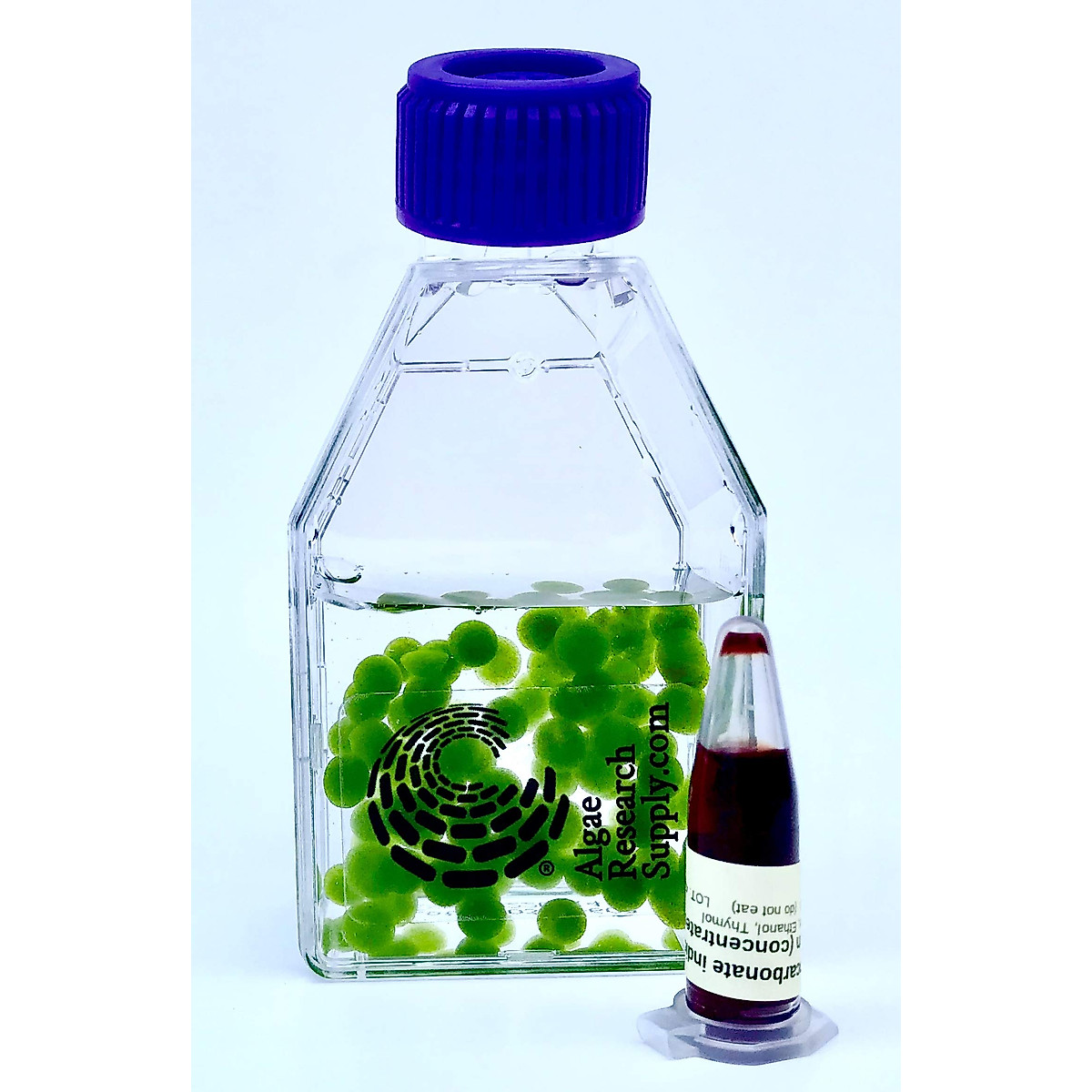 Algae Research and Supply: Algae Beads (Ready-to-go Algae Beads in Indicator- snap vials (x10))