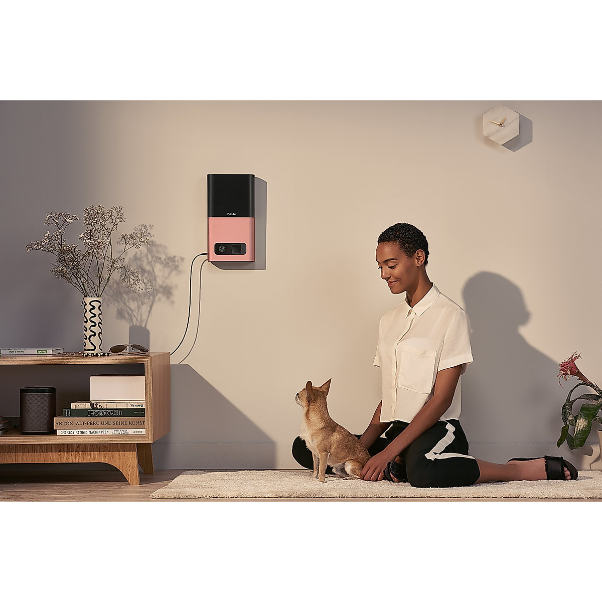 [2017 Item ] Petcube Bites Pet Camera with Treat Dispenser: HD 1080p Video Monitor, 2-Way Audio, Night Vision, Sound and Motion Alerts. For Dogs and Cats