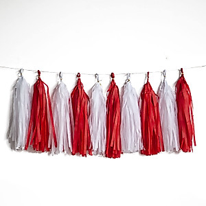 Red and White Tassel Garland Paper Tissue Tassels Garland for Party Decorations, Pack of 20