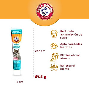 Arm & Hammer Cat Dental Kit - Toothbrush, Toothpaste and Oral Care for Kittens with Tuna and Fresh Mint Flavors