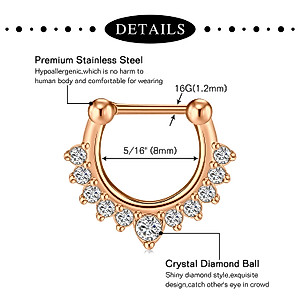 Anicina Pretty Nose Rings 16G Stainless Steel Nose Hoops Cubic Zirconia Septum Clicker Ear Tragus Helix Conch Earring Body Piercing Jewelry