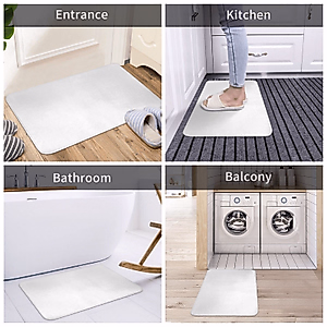 Door Mat Red Flamingo Print Doormat Non Slip Rug Bathroom/Bedroom/Kitchen/Office Indoor Floor Mats,Microfiber Memory Foam Bath Rugs 16x24Inch