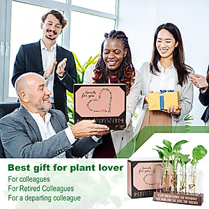 WelDesine Goodbye Gifts for Coworkers Leaving Gifts for Women, Planter Terrariums, Farewell Gifts for Friends, Going Away Gift for Boss Leaving Job, Retirement New Job Gifts for Men on Desk, SPJ001