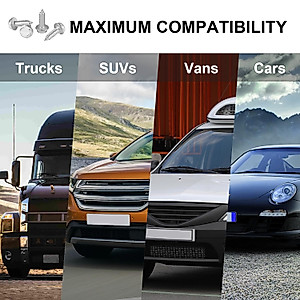 LivTee Rustproof License Plate Screws for Securing License Plates Frames and Covers on Cars and Trucks, 4 Sets Premium Stainless Steel Self Tapping Mounting Bolts, Silver