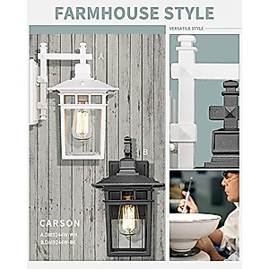 Beionxii White Exterior Light Fixture 2PK, Dusk to Dawn Outdoor Lighting with Cast Aluminum Housing, Outdoor Front Porch Lights for House Coach Garage, DM9244W-TWH