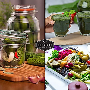 Survival Garden Seeds - Spacemaster Cucumber Seed for Planting - Packet with Instructions to Plant and Grow Container Friendly Cucumbers in Your Home Vegetable Garden - Non-GMO Heirloom Variety