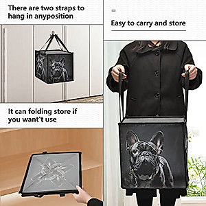 ALAZA Collapsible Storage Basket - Black French Bulldog Rotary Folding Storage Basket Container Organizer Bags - Large Clothes Hamper Tote with Carry Handles(229ya1e)