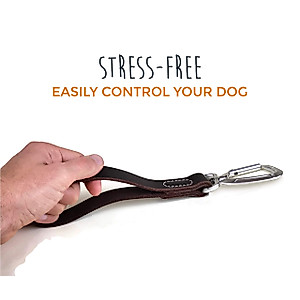 Mighty Paw Short Dog Leash - Training Traffic Lead with Carabiner Clip - Dog Leash Training Lead - Short Slip Lead Dog Leash - Short Lead Dog Training - Dog Carabiner Clip - Brown - 12 Inches