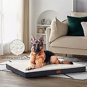 CozyLux Dog Beds for Large Dogs - Large Dog Bed for 65 lbs, Egg-Crate Foam Cat Bed Mat, Removable Washable Cover, Grey 35 X 22 X 3 inch