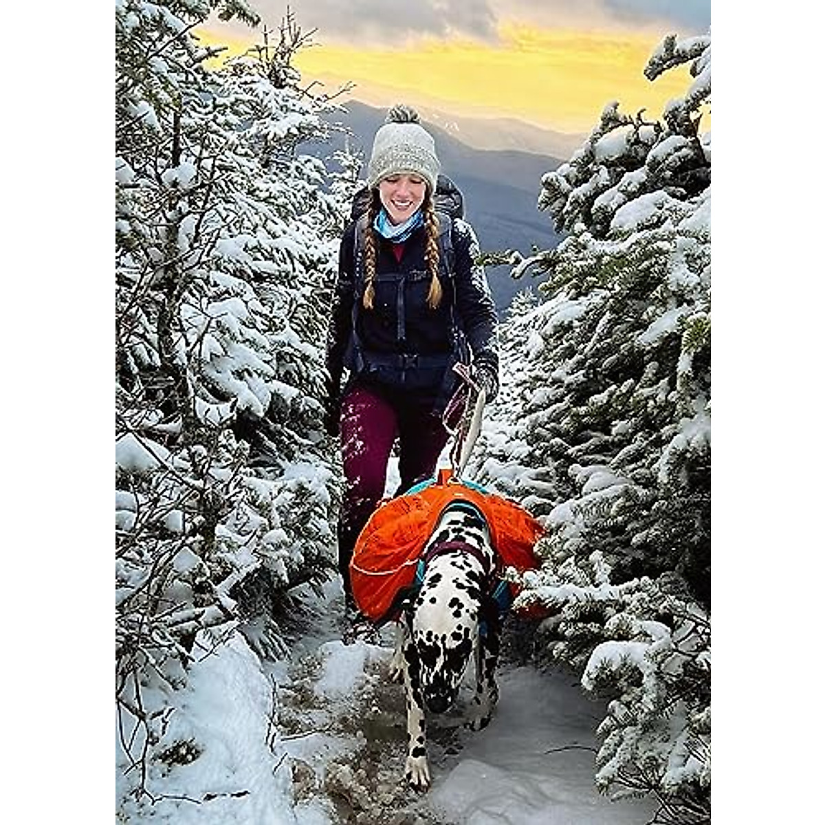 BALEAF Women's Fleece Lined Leggings Water Resistant High Waisted Winter Cold Weather Running Gear Zip Pockets Wine Red M