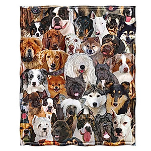 Jekeno Dogs Blanket Husky Shiba Inu Pomeranian Bull Terrier Smooth Soft Print Throw Blanket for Bed Couch Sofa Gift Kid Adult 50"x60"