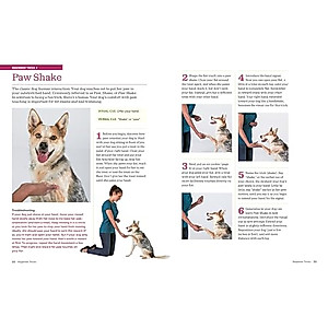 The Big Book of Tricks for the Best Dog Ever: A Step-by-Step Guide to 118 Amazing Tricks and Stunts