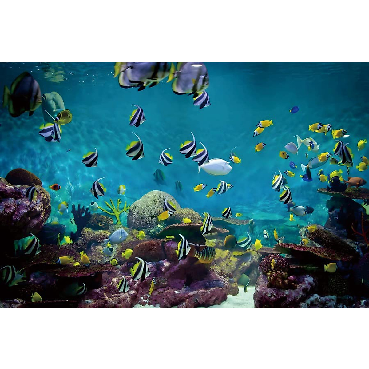 DORCEV 20x10ft Underwater World Photography Backdrop Submarine World Sea Fishes Aquatic Plants Background Undersea World Cartoon Theme Kids Birthday Party Luau Hula Party Banner Supplies Banner