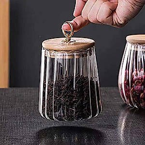 HongDream Glass Jars Canister Airtight Storage Container with Lid Metal Handle Small Glass Food Jars and Canisters Sets for Coffee Tea Spice 2 Pcs