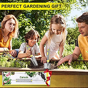 Garden Tools Set, Carsolt 3 Piece Stainless Steel Heavy Duty Gardening Tools Includes Trowel, Transplant and Hand Rake with Non-Slip Ergonomic Handle, Gardening Kit with Gift Box Ideal Garden Gifts
