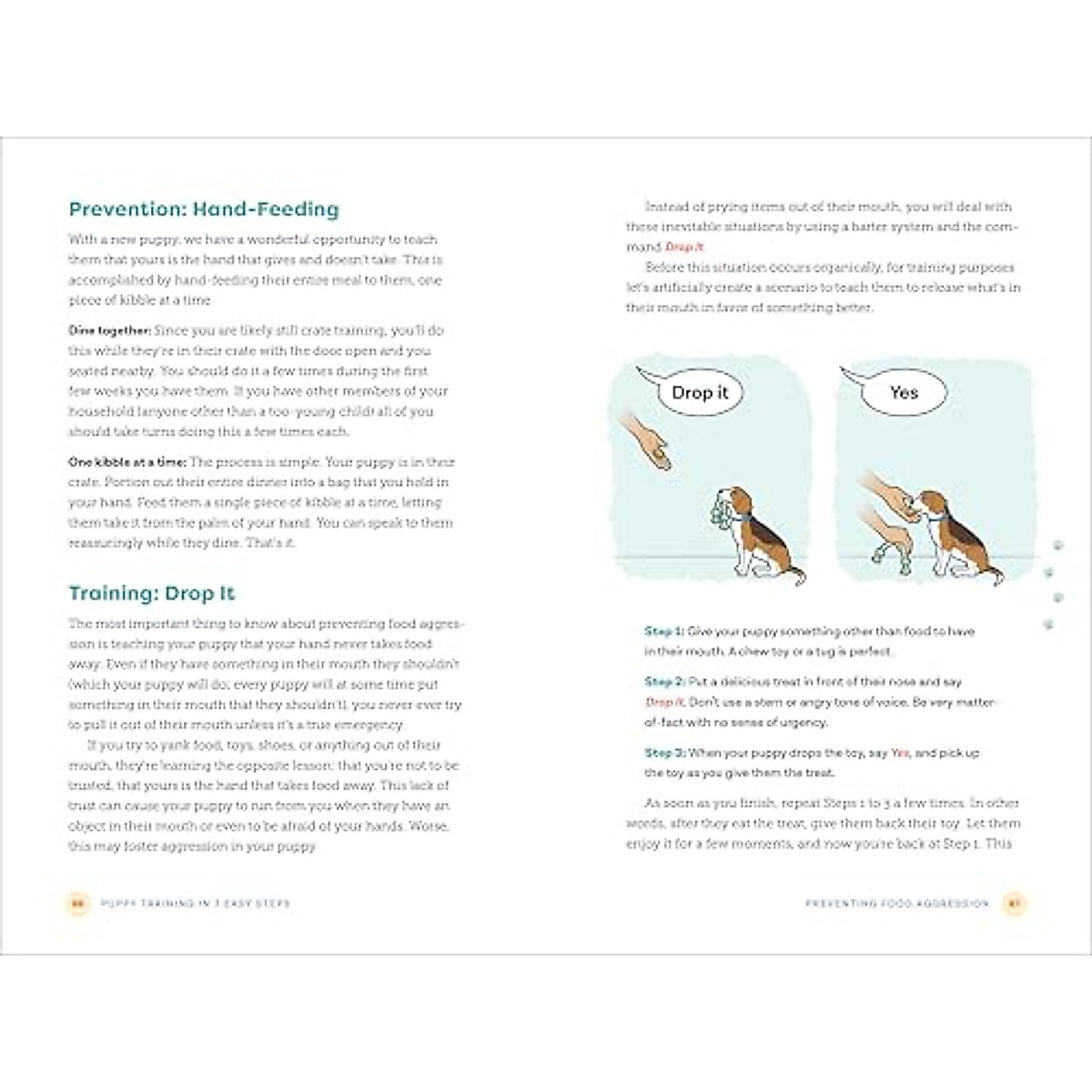 Puppy Training in 7 Easy Steps: Everything You Need to Know to Raise the Perfect Dog