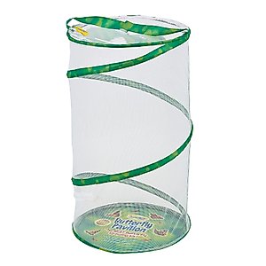 Insect Lore Butterfly Pavilion Habitat | 2 Foot Tall Clear Mesh | Pops Up Folds Flat | Zipper Top | for All Insects