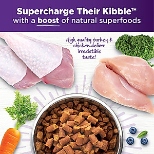 Wellness Tender Toppers (Previously Bowl Boosters), Grain-Free Natural Dog Food Toppers or Mixers, Made with Real Meat (Turkey & Chicken, 2-Pound Bag)