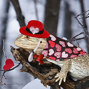JOTFA 4 Pcs Bearded Dragon Valentine’s Day Costumes, Lizard Valentine’s Day Hats Bandanas Lizard Scarf Valentines Outfits for Bearded Dragon Lizard Hamster Guinea Pig Small Animal