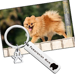 LQRI Pomeranian Pom Jewelry Pomeranian Mom Pomeranian Dad Keychain with Dog Paw Charm Pomeranian Gifts for Pomeranian Owner (Pomeranian mom)