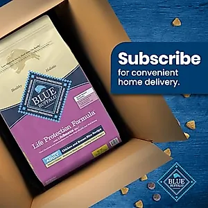 Blue Buffalo Life Protection Formula Adult Small Breed Dry Dog Food, Supports High Energy Needs, Made with Natural Ingredients, Chicken & Brown Rice Recipe, 5-lb. Bag