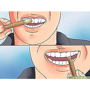 30 Pcs Al Falah Siwak Meswak Miswak Miswak Arak Peelu Al Falah Chewing Stick With Natural Flavor Organic Herbal Toothbrush Vacuum Sealed Breath Freshener Thirty Tooth Sticks Plus 1oz / 28 gm Cloves