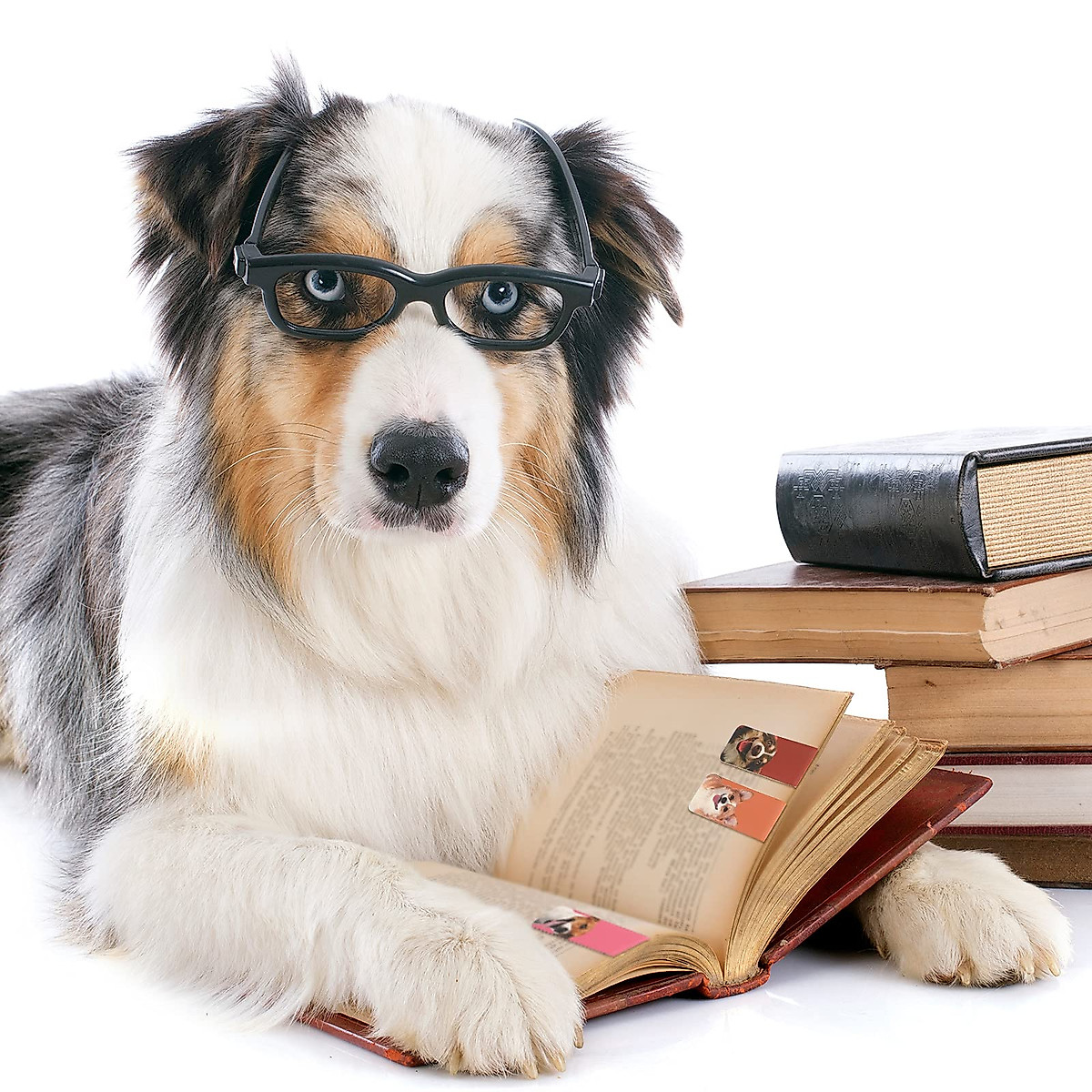 30 Pieces Magnetic Bookmarks Cute Dogs Magnetic Page Markers Pet Magnetic Page Clips Puppy Faces Bookmark for Students Teachers Kids School Home Office Reading Stationery, 15 Designs