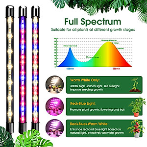 Wolezek Grow Lights for Indoor Plants, Full Spectrum LED Plant Grow Light with Adjustable Stand and Sturdy Clip, 5-Heads Plant Light with Auto 6/12/16H Timer, 3 Light Modes, 5 Levels Dimmable