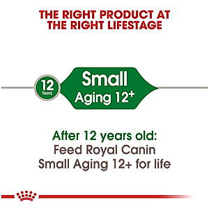 Royal Canin Small Aging 12+ Dry Dog Food, 2.5 lb bag
