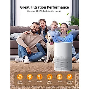 Air Purifiers with H13 HEPA Air Filter, Air Purifier for Large Room up to 430 ft², Pollen Smoke Allergen Pet Dander Hair Dust Air Cleaner, CADR 400 m³/h, Auto Mode, Timer, Air Quality Sensor, AP005