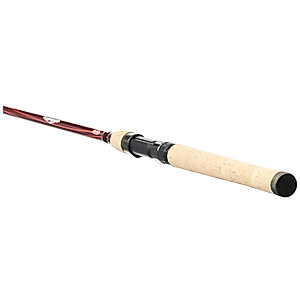 Berkley Cherrywood Spinning Rod - Lightweight with Cork Handle - Saltwater and Freshwater Spin Fishing