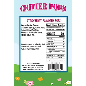 Handmade Strawberry Flavored Critter Lollipops, Fun Assorted Critters, Butterfly, Lady Bug, Bumble Bee, and Flower Suckers (9.5 OZ)