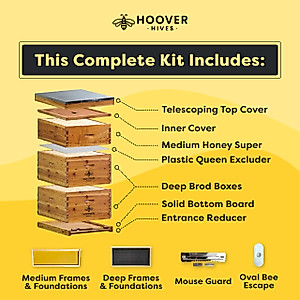 Hoover Hives 10 Frame Langstroth Beehive Dipped in 100% Beeswax Includes Wooden Frames & Waxed Foundations (2 Deep Boxes, 1 Medium Box)