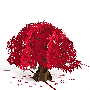 Lovepop Everyday Pop-Up Card for Her and Him- 3D Thinking of You Greeting Cards for Boys, Girls, Men, Women - 5" x 7" Maple Tree - Blank Note Card & Envelope Included