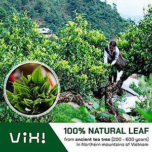 VIXI Black Tea Loose Leaf, Vietnam's Mountain Tea, Taste Better Than Tea Grown on Farm, 100% Natural from Ancient Tea Tree for Hot and Cold Brew (Vietnamese Tea, 8.00 Oz)