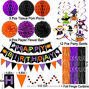 Halloween theme Birthday Party Decorations,Happy Birthday Decorations with Paper Triangle Flag,Hanging Swirl Streamers,Honeycomb Ball,Tissue Paper Pom,Circle Dots Garland, Fringe Curtains (birthday)
