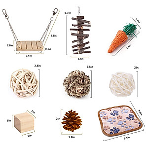 Magnoloran 12 Pack Hamster Chew Toys Set Hamster Exercise Accessories Small Animal Teeth Care Molar Toys Guinea Pig Pet Toys for Rabbit Bunny Chinchilla Guinea Pig Gerbils Groundhog Squirrels