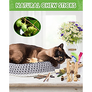 TINDTOP Silvervine Chew Sticks for Cats, 12 Pack Natural Catnip Chew Toys for Kittens Teeth Cleaning, Matatabi Dental Care, Increase Appetite, Calm Cat Anxiety and Stress, Cat Dental Toy