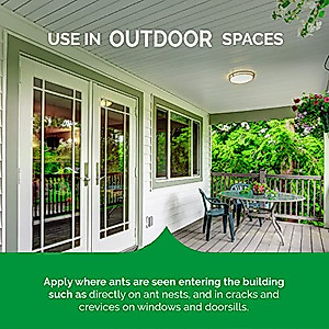 Hot Shot Ultra Clear Roach & Ant Gel Bait, 1-Count, 6-Pack, Plain