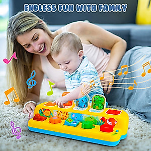 Interactive Pop up Animal Toys with Music & Light, Montessori Cause and Effect Toys for 1 Year Old Boy Girl Early Learning Musical Baby Toys 9-12-18 Months STEM Toddler Toys Age 1-2 Gift for Infant