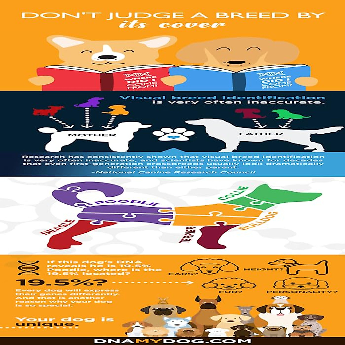 Dna My Dog Genetic Testing Kit – Essential Breed ID Test Mixed Breed Identification, Personality Traits – for Puppies to Adult Dogs, Non-Invasive Cheek Swab