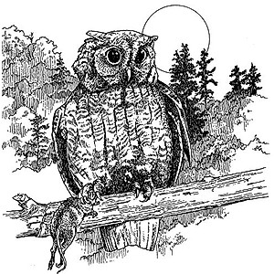 A Walk in the Woods (Dover Nature Coloring Book)