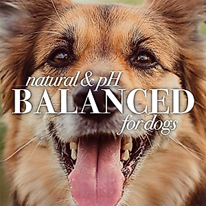 Burt's Bees for Pets Naturally Derived Oatmeal Conditioner with Colloidal Oat Flour & Honey - Dog Oatmeal Shampoo - Cruelty Free, Made in the USA - 10 Oz - 2 Pack