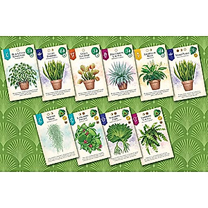 AEG & Flatout Games | Verdant - A Board Game for the Houseplant Collector | From the Creators of Cascadia | Easy to Learn | Quick to Play | Ages 10+ | 1-5 Players