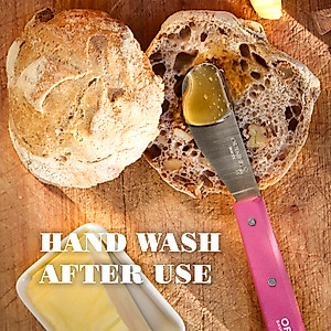 Opinel 254399 Spreading Knife No. 117 Eggplant 001934