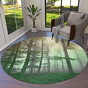 Ombre Yellow and Green Nature Forest Tree Fog Round Area Rugs Collection 5', Forest Fantasy Fog Magic Woodland Indoor Circular Throw Runner Rug Floor Mat Carpet for Living Room Bedroom Nursery Decor