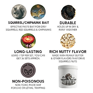 Squirrel Butter Paste Bait 8 Ounce | Irresistible Sweet Scented & Highly Attractive Lure for Red & Grey Squirrels Chipmunks | Good All Season Long