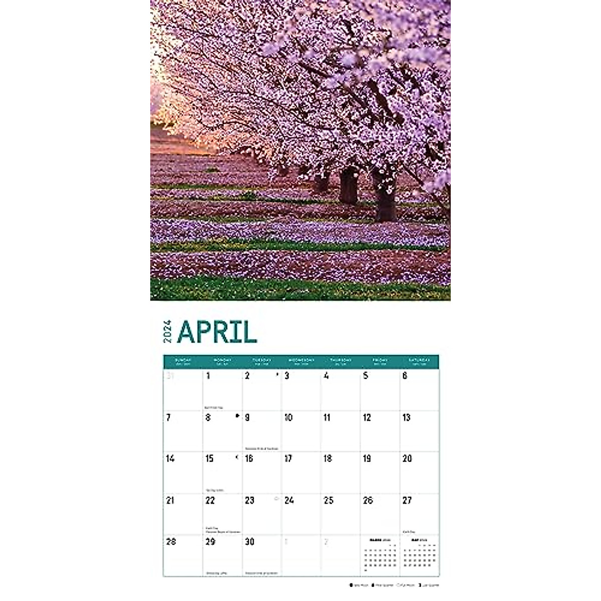 2024 Seasons Monthly Wall Calendar by Bright Day, 12 x 12 Inch Spring Summer Autumn Winter